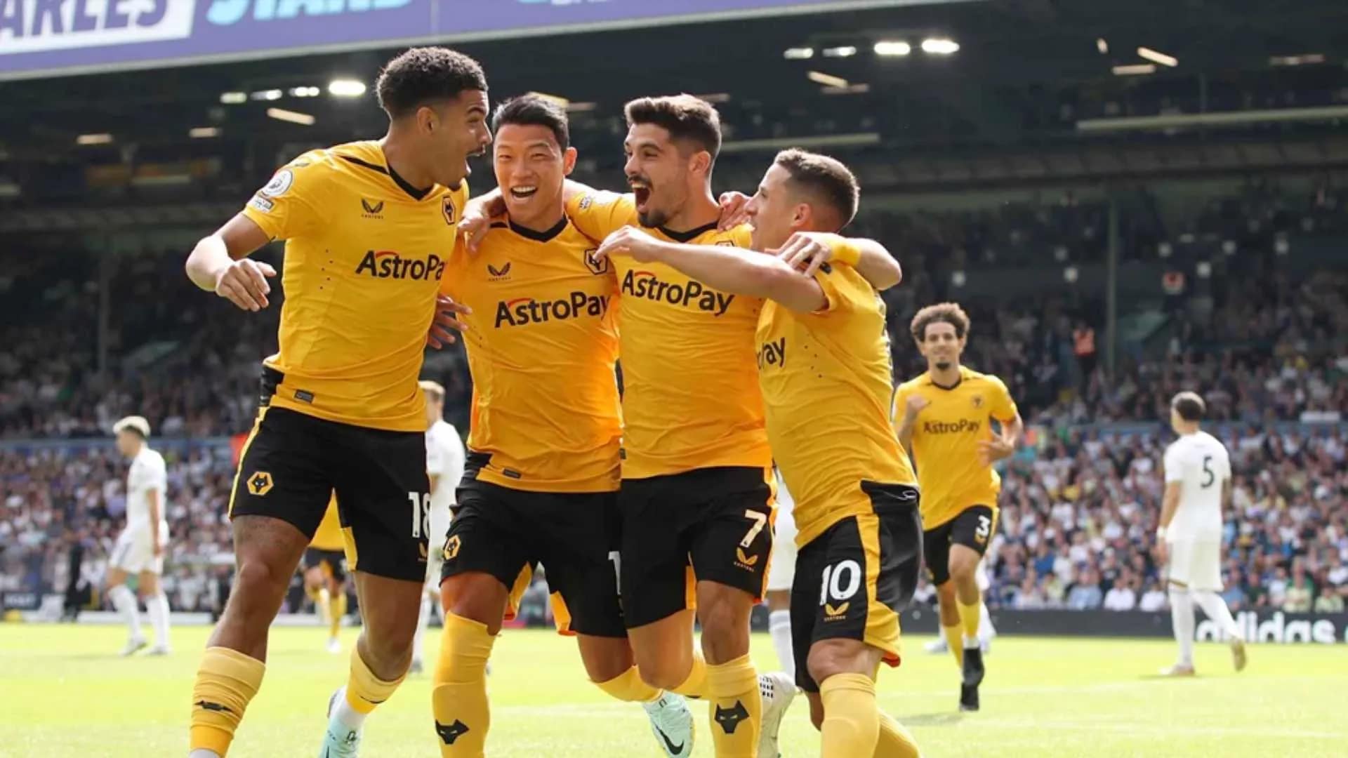 Victorian Wolves Supporters Club | Victorian Wolves Supporters Club